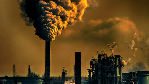 Fire in the Earth System - National Centre for Earth Observation