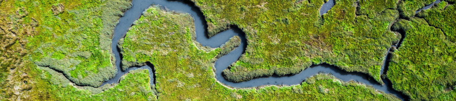 Natural methane emissions - National Centre for Earth Observation