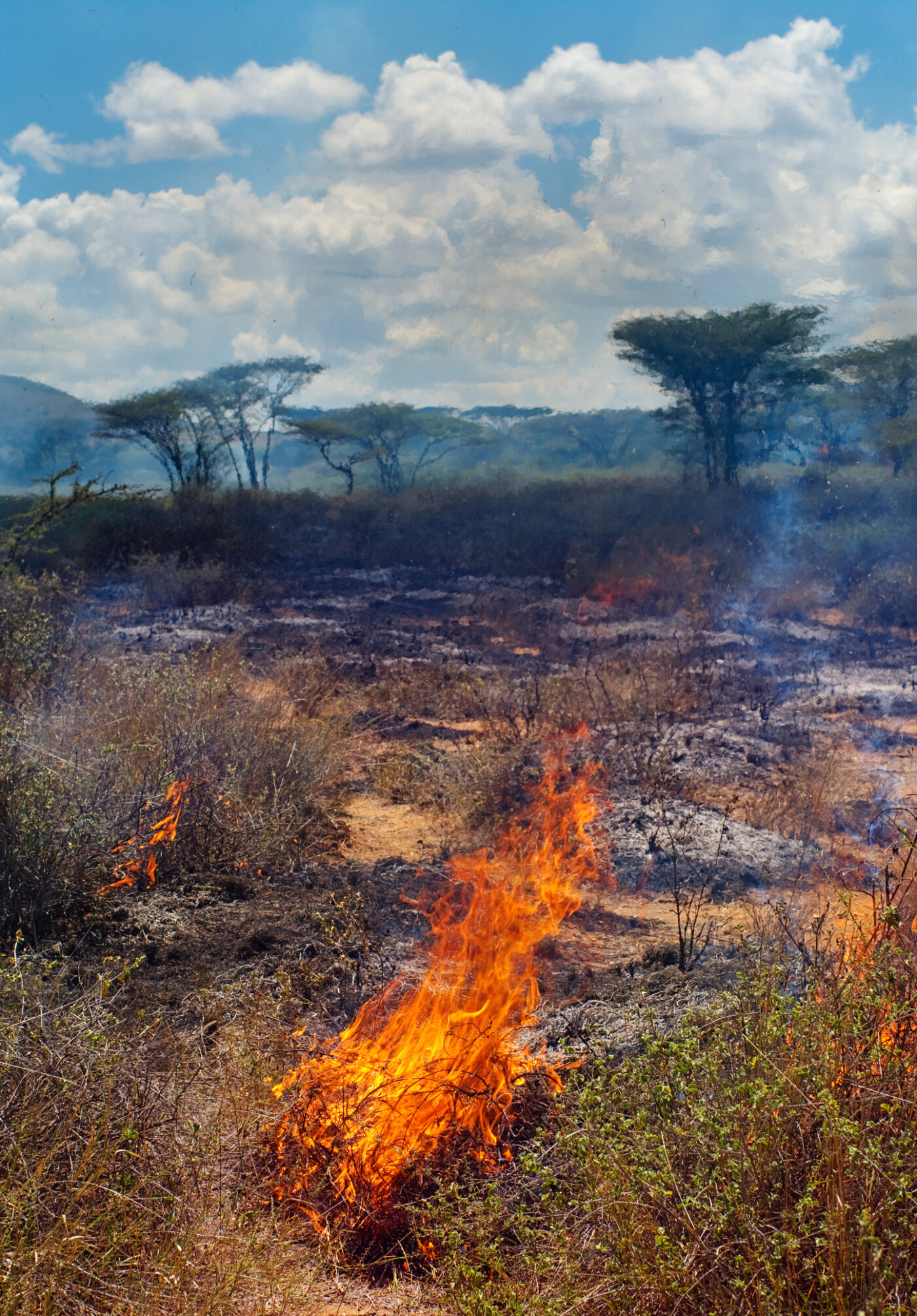 Natural methane emissions - National Centre for Earth Observation